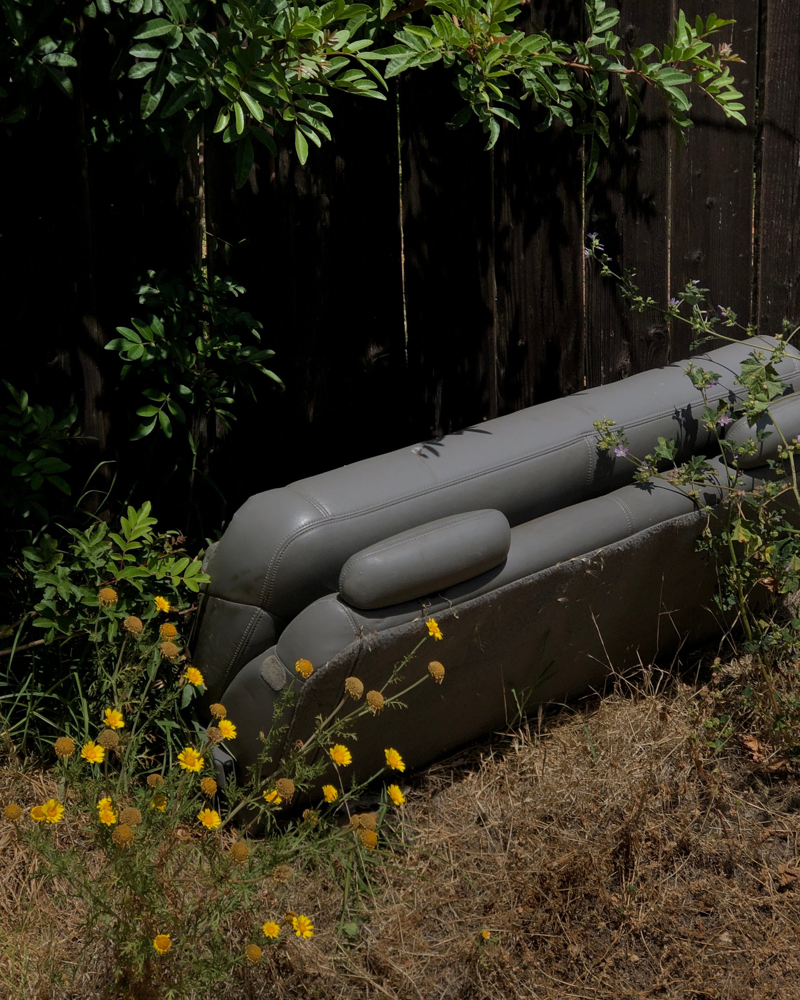 #91: Litter - by Stefania Culafic - Observations