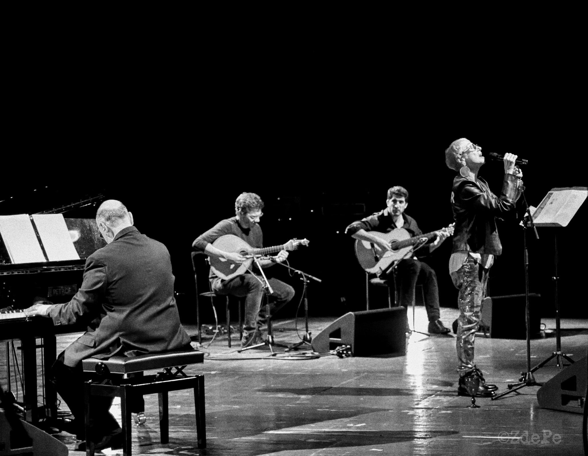 Offest Festival: Embracing and Celebrating the Melodies of the World