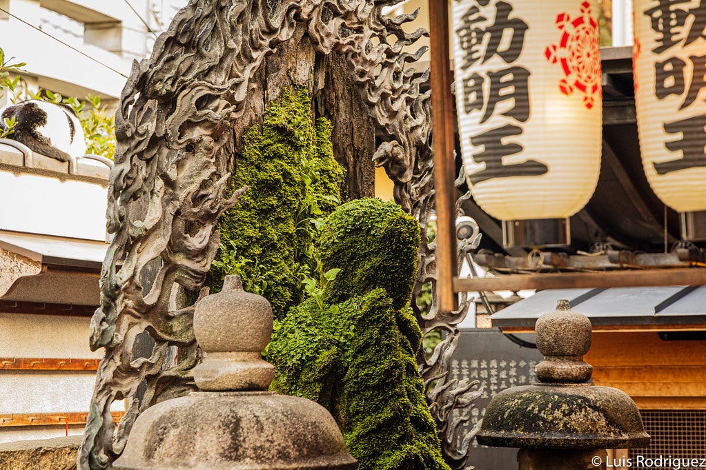 El escondido templo Hozenji en Osaka y las gyozas jugosas de Dandadan ...
