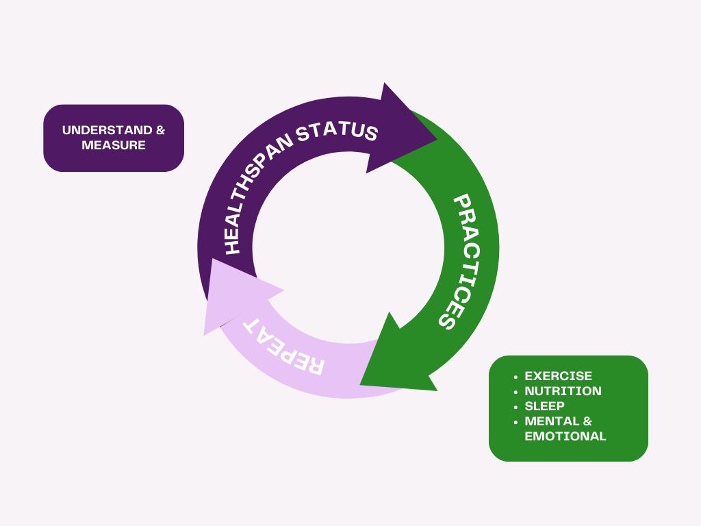 The Healthspan Framework - by Toni Moyes - Extend