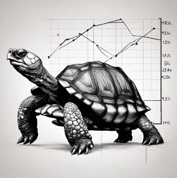 The Compounding Tortoise | Substack