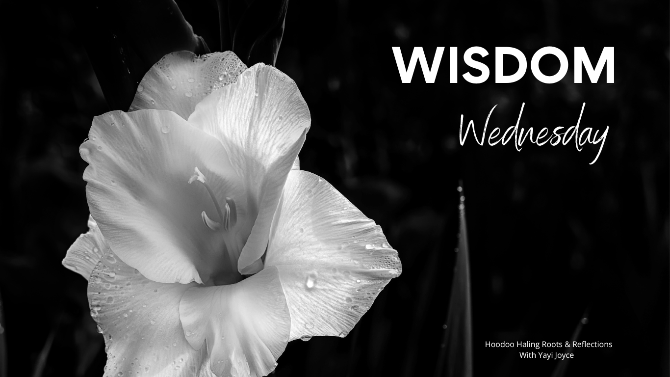 1# Wisdom Wednesday - by Yayi Joyce