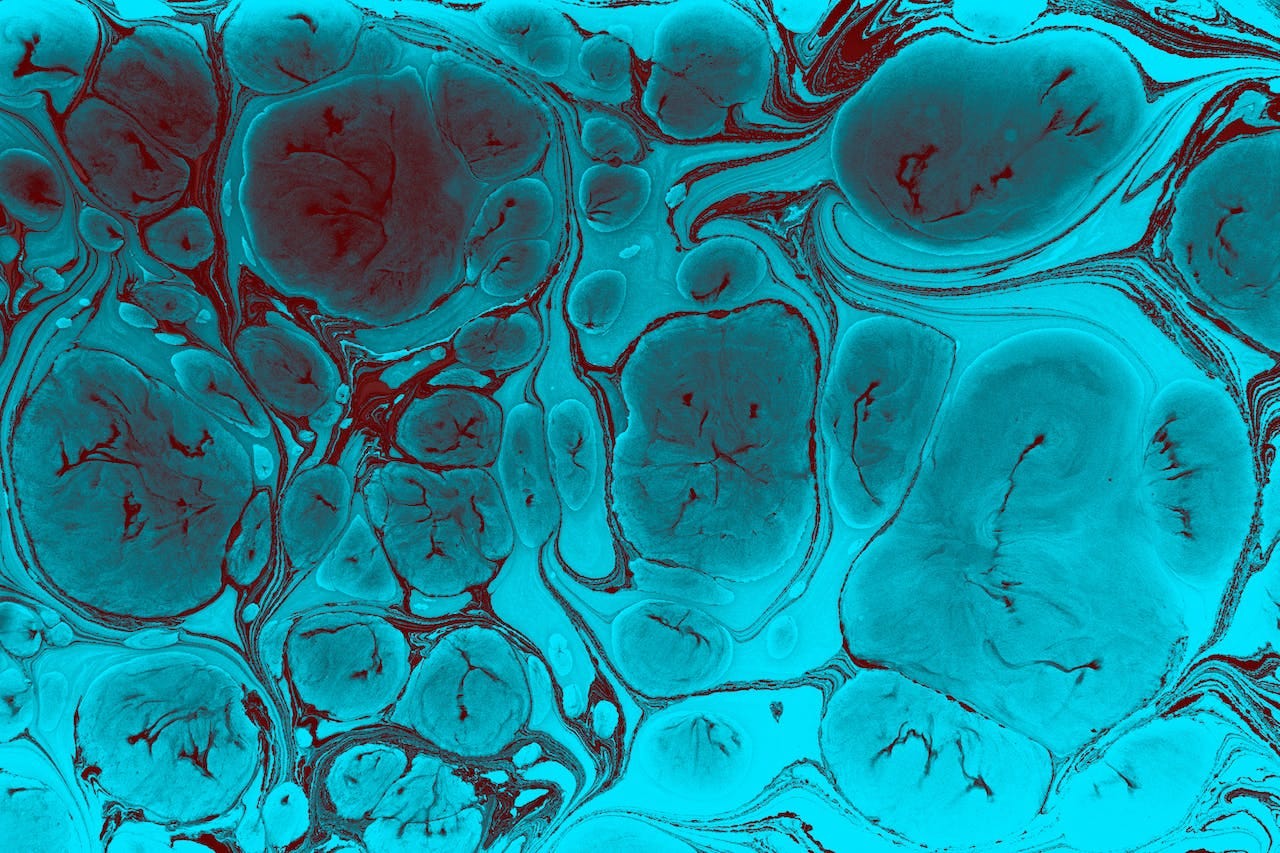 How Beliefs Become Signals - triangulation