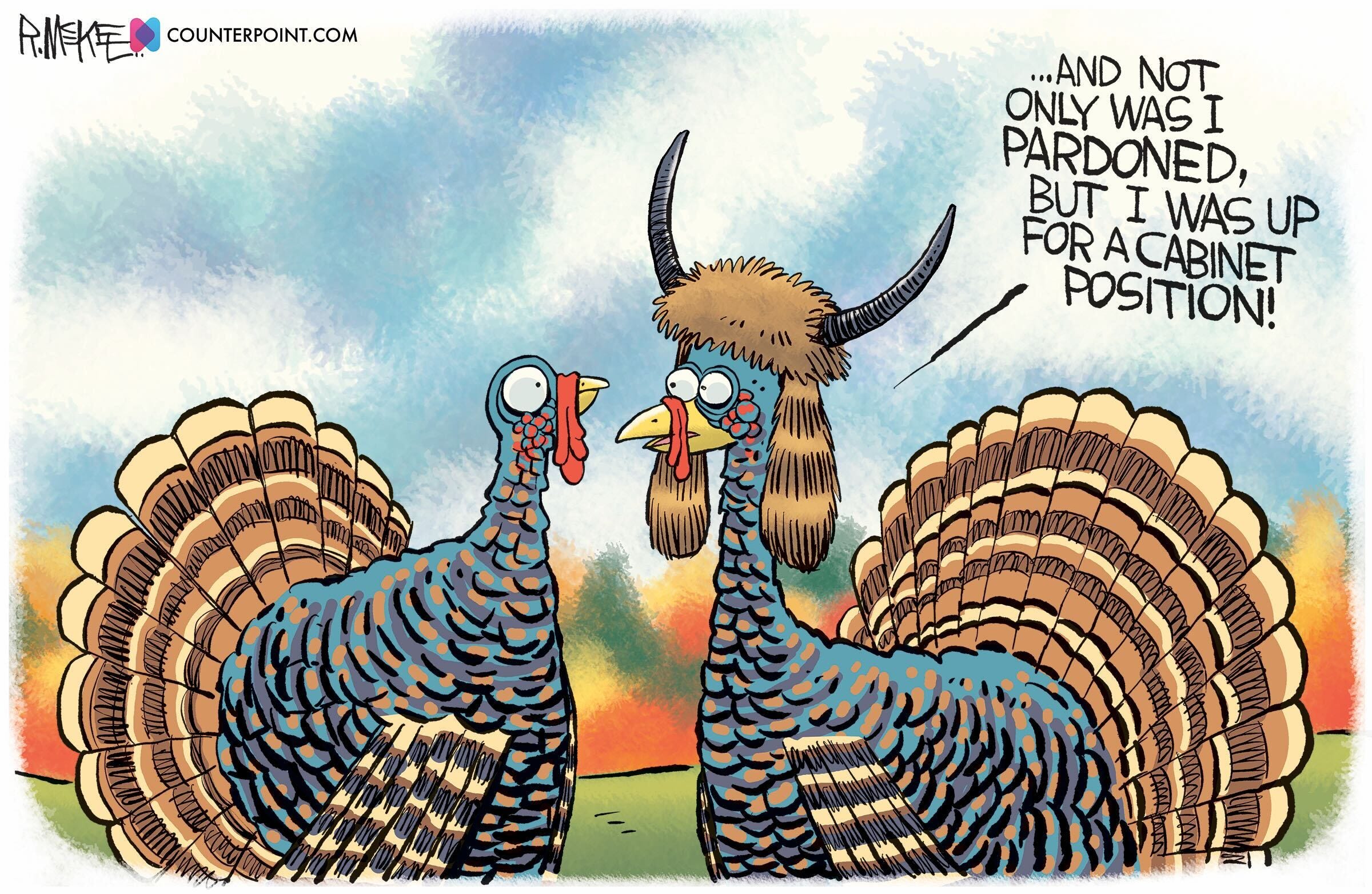 🦃"Turkeys Galore" Edition - Counterpoint