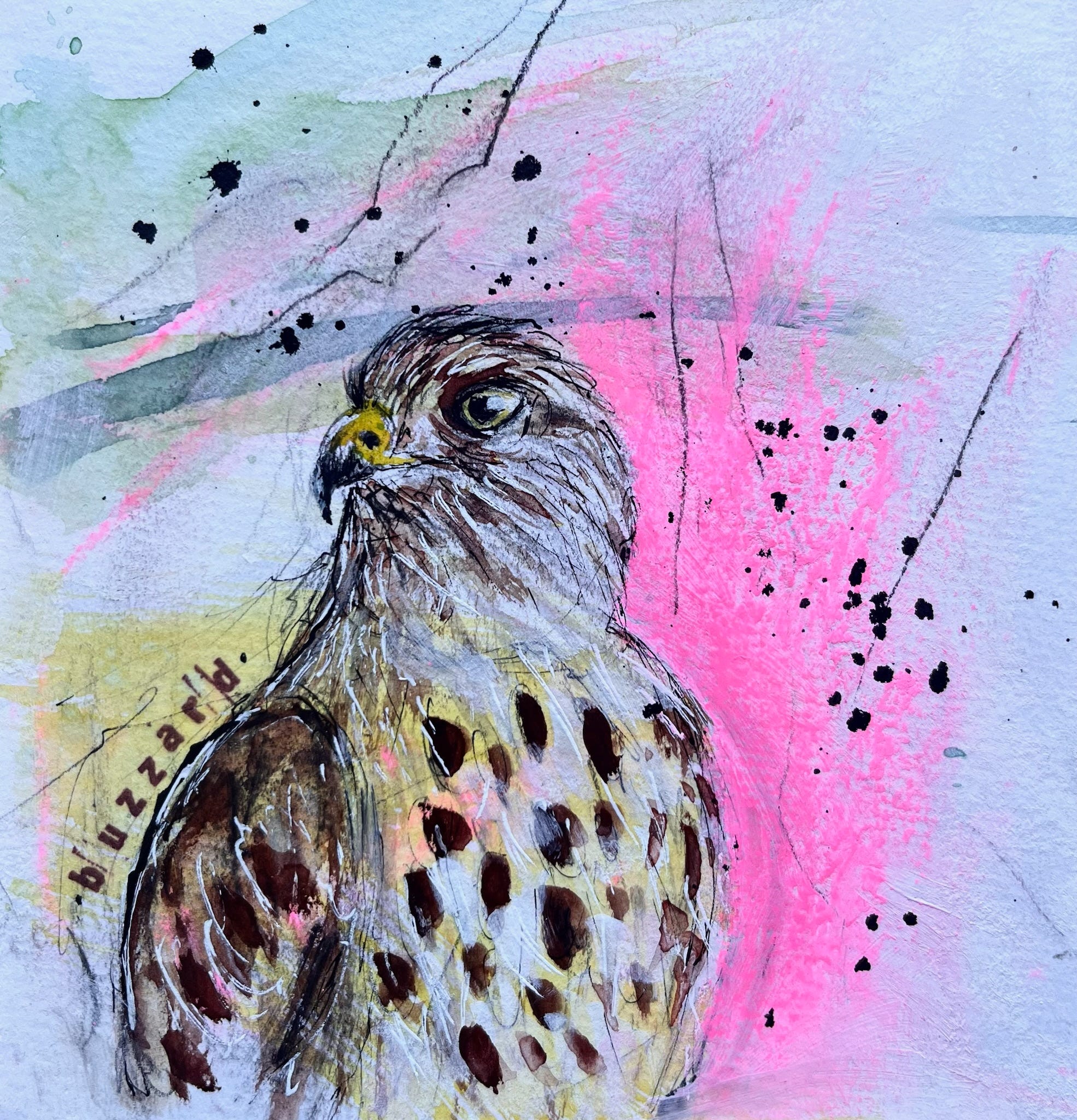 Buzzards - Draw in Your Style - by Emma Cavill