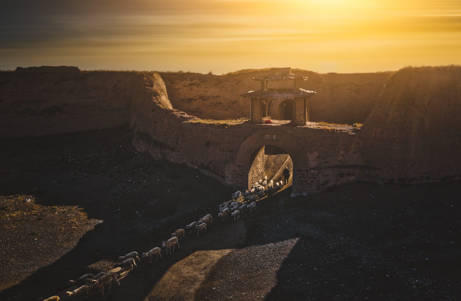 What Can We Learn About Energy from Ancient Energy Revolutions?