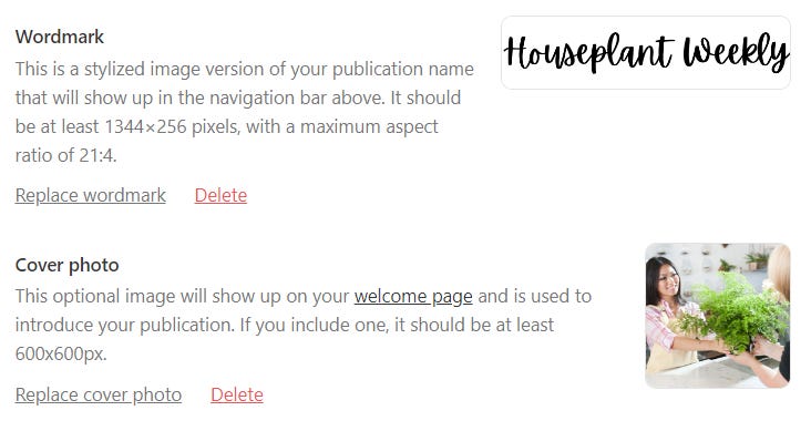Creating a visual identity for your Substack