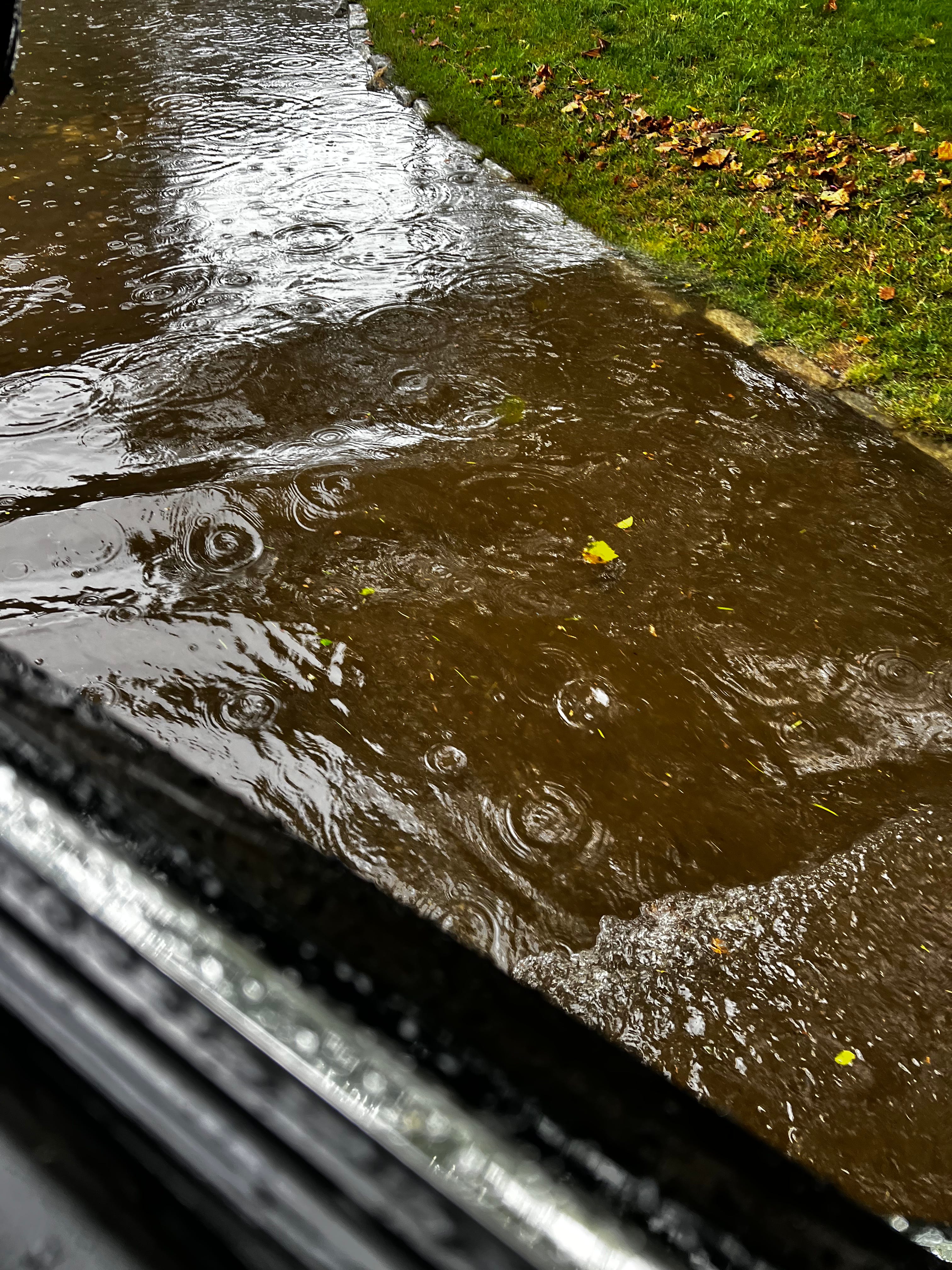 What’s Your Sign? - by Zibby Owens - Zibby's Highlights