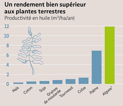 Newsletter #20 - Mapping - Les startups européennes des algues