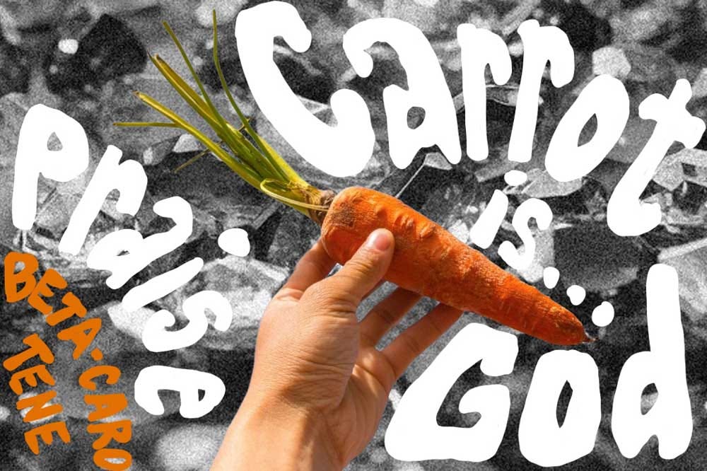 The Dangling Carrot of Destiny - by Janeen McCrae