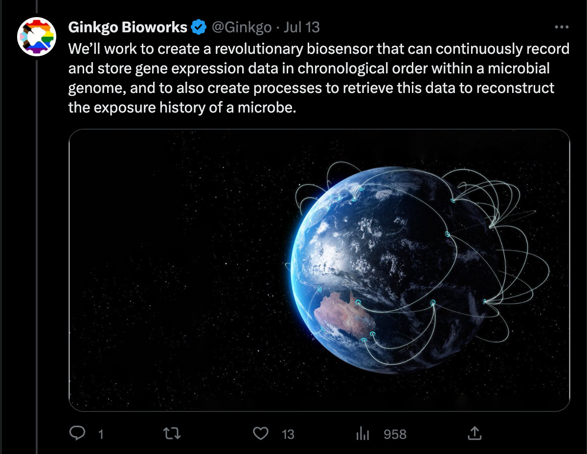 🔮 Roundups #39 - The Glimpse