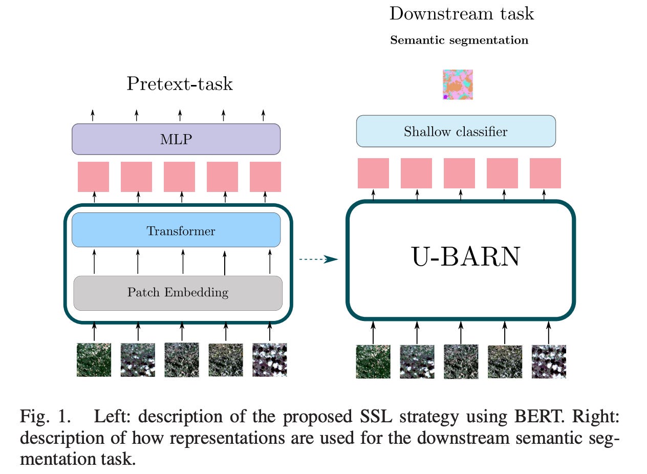 New discoveries #25 - by Robin Cole