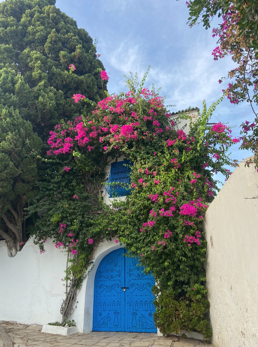 Tunis Travel Guide - by Fafa Tekbali - Farah's Substack