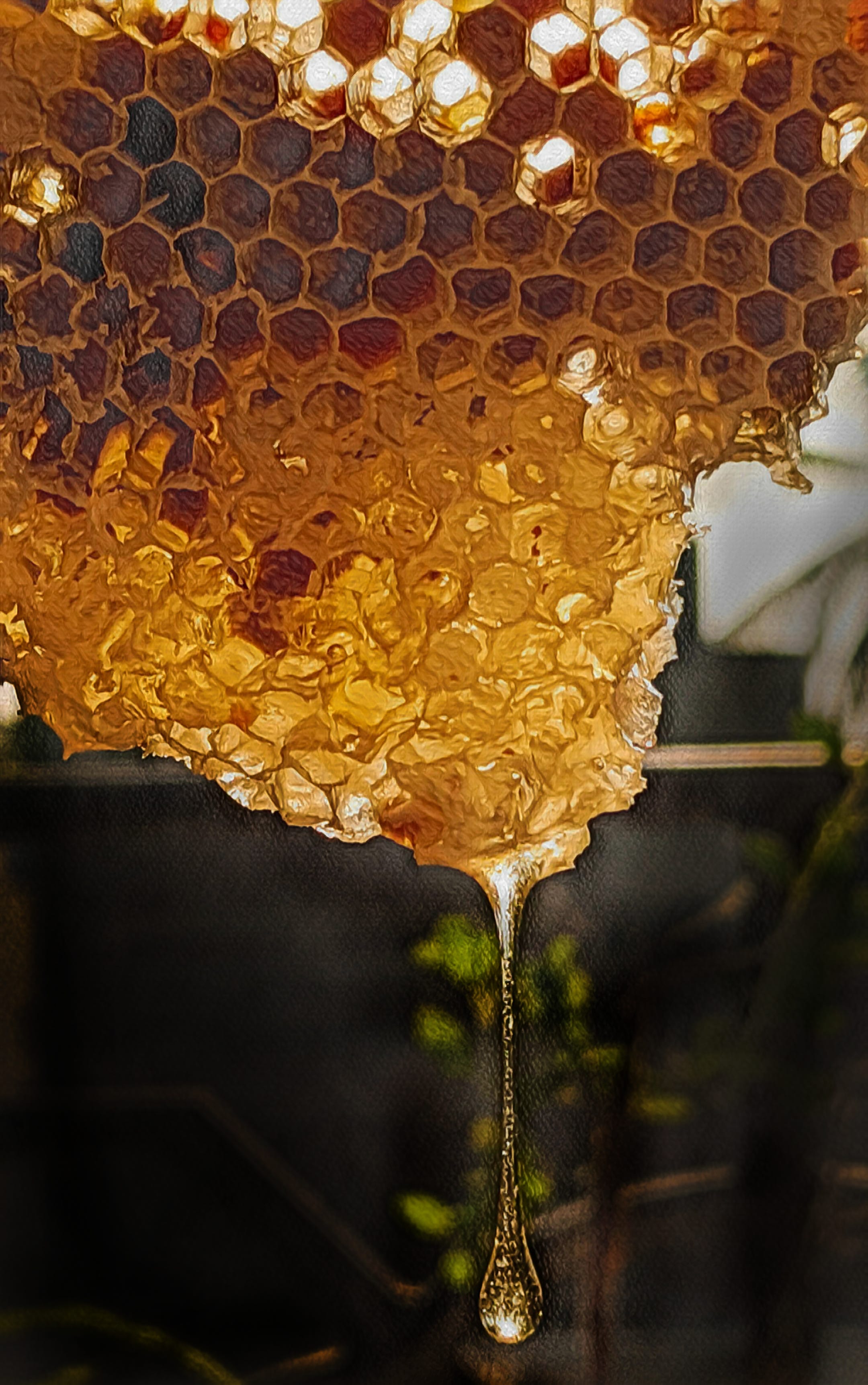 Tasting the Nectar of Being - by Helen Lowe