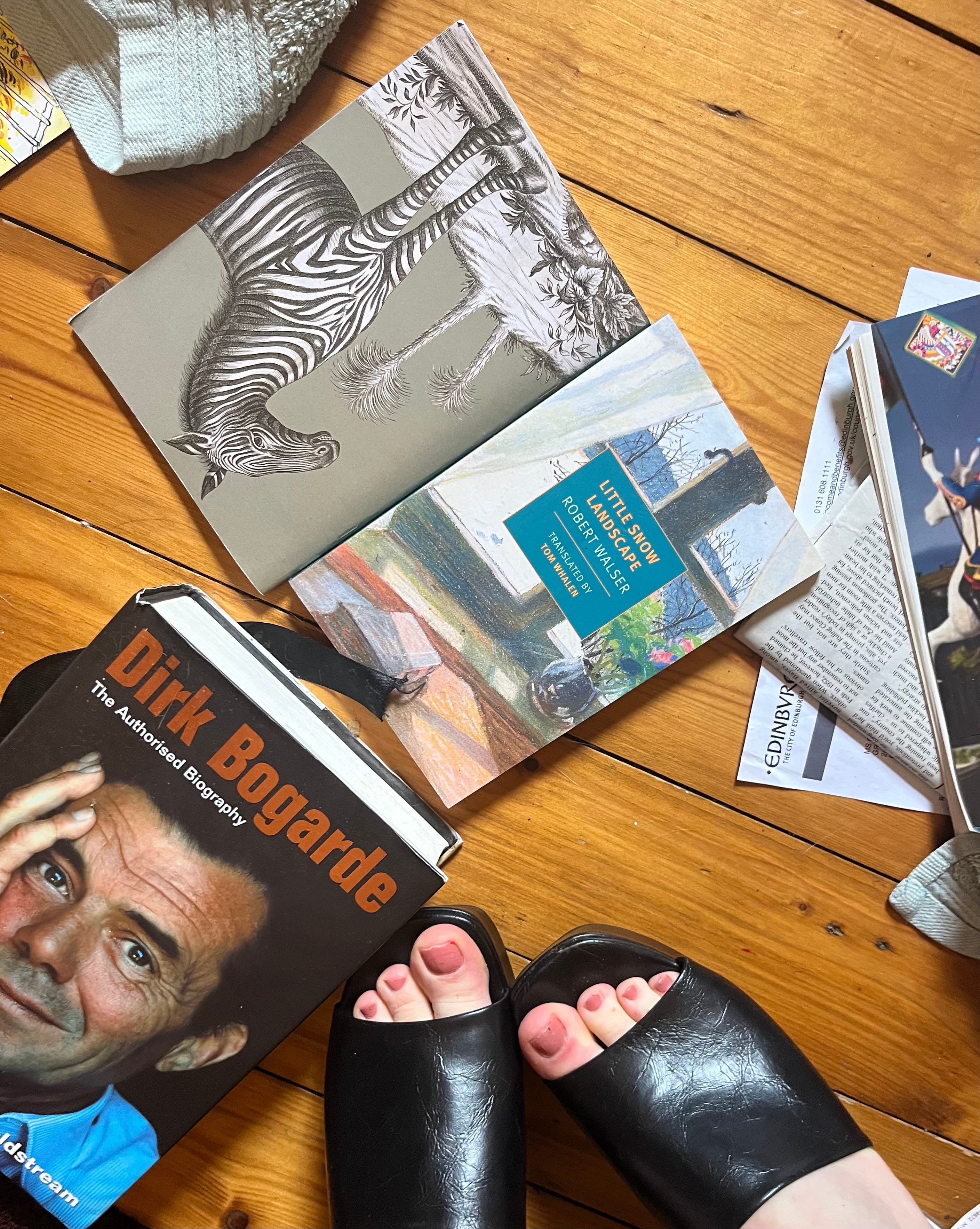 Camilla Grudova | Substack