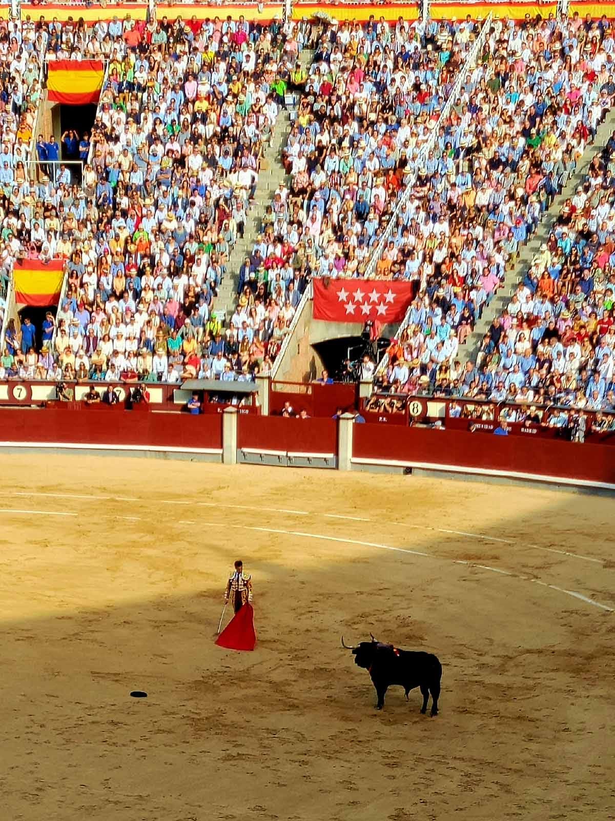 The Bullfight - by Hank Shaw - To The Bone