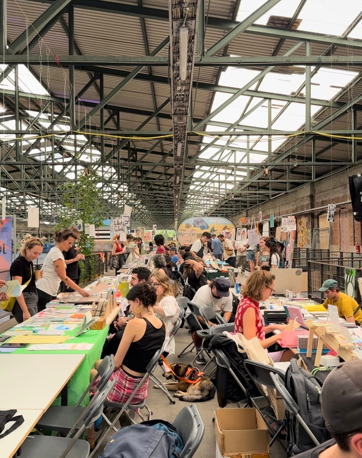 the illusion of competition - bog bodies press