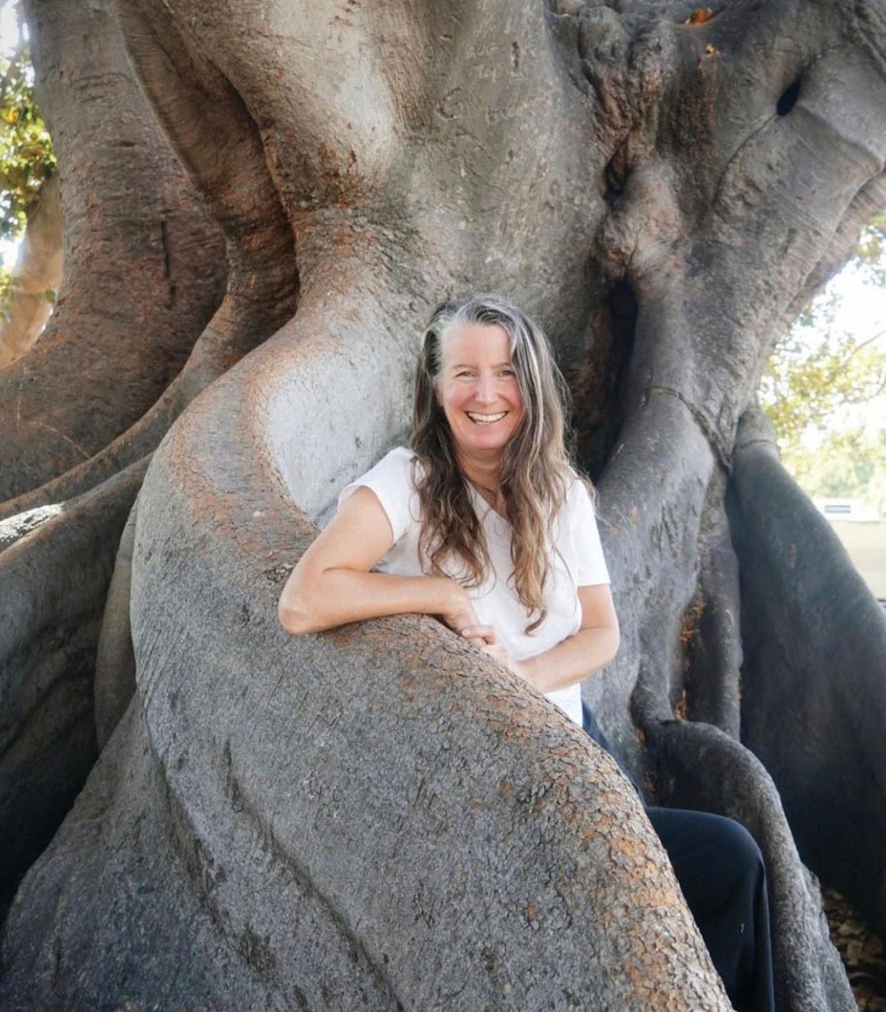 The Language Of Trees - by Kerri ní Dochartaigh