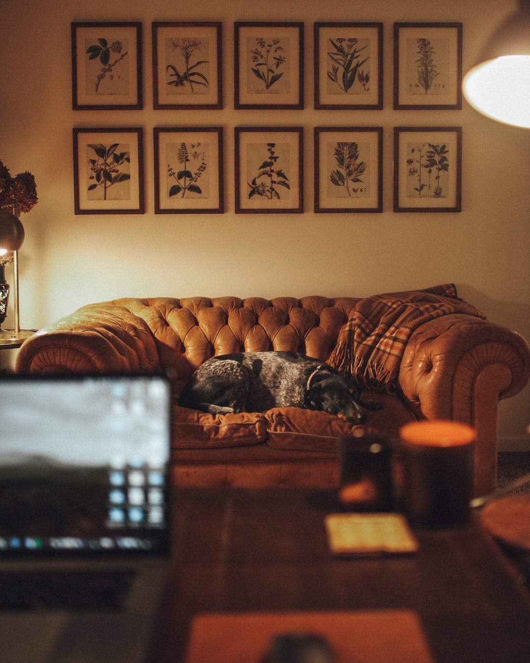 Curiosity over Criticism - by Blake Roberts, LMFT