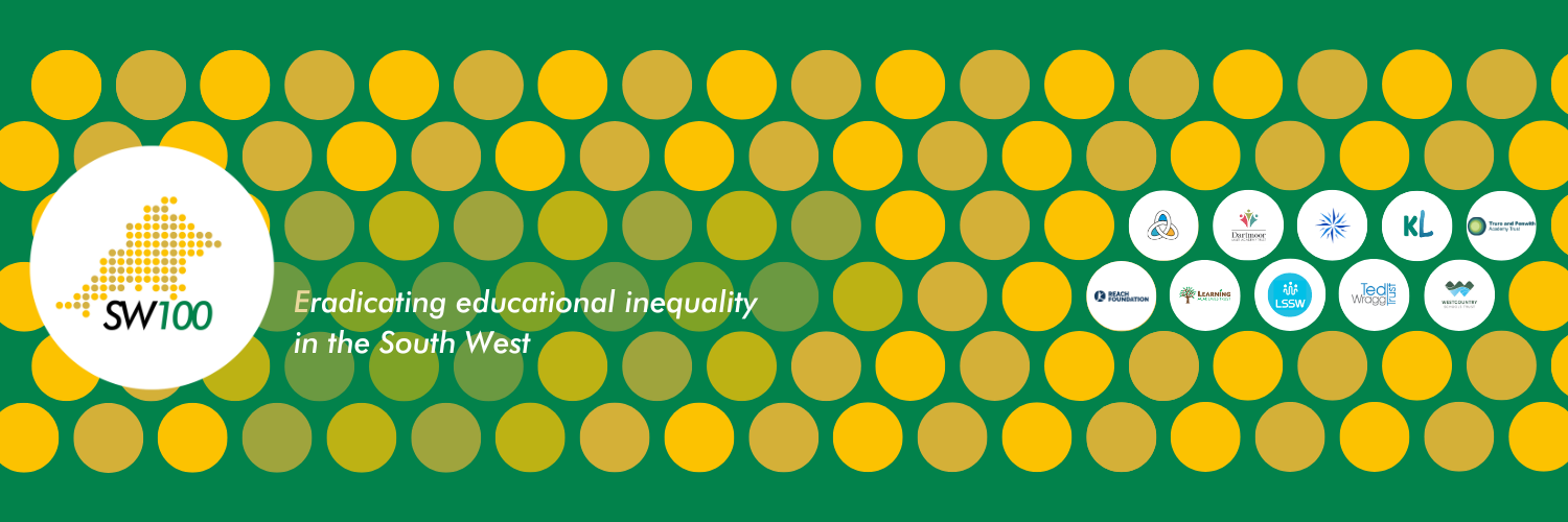 What is the SW100? - by SW100 and Sam Fitzpatrick