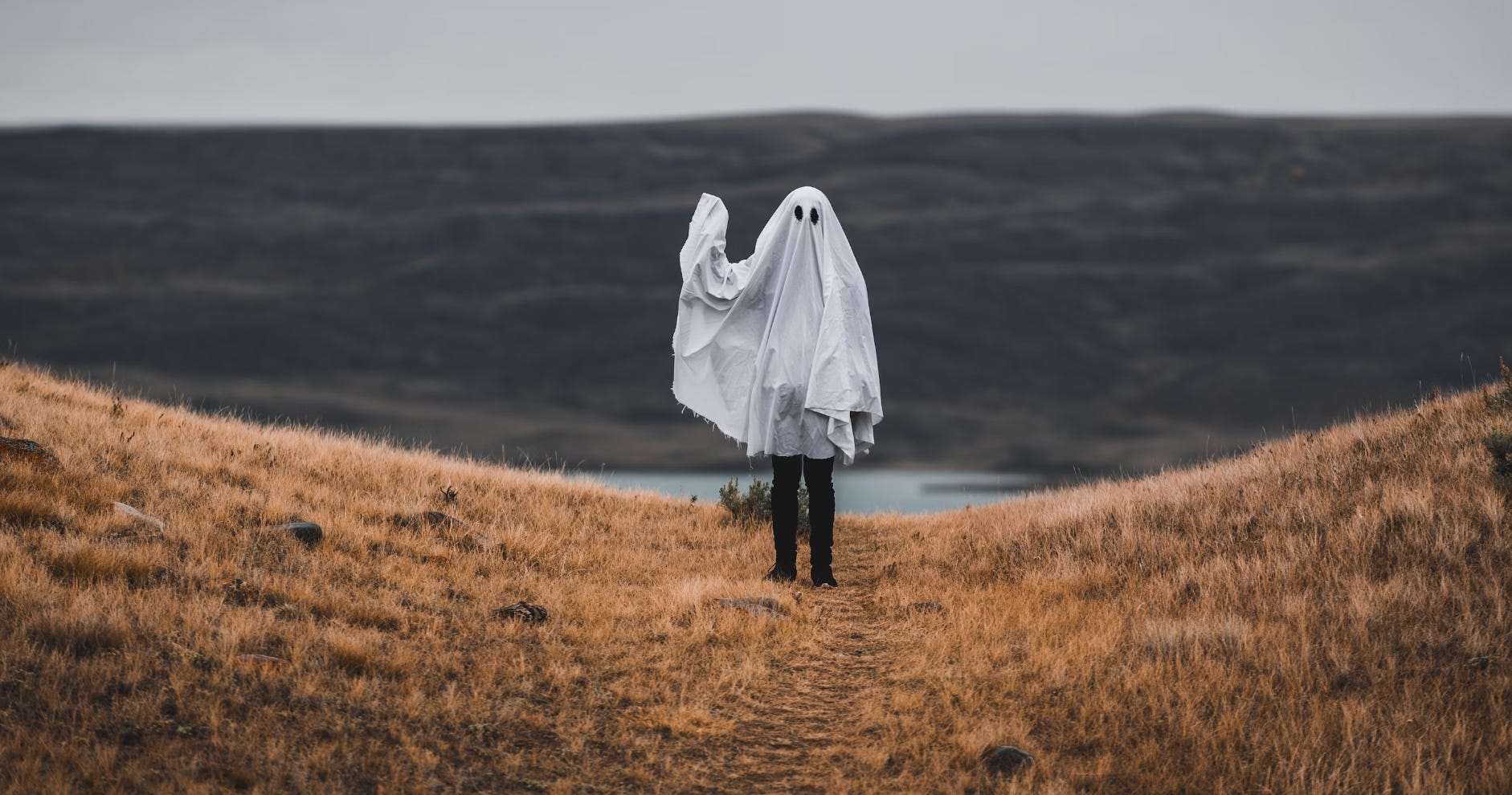 Ghosting Substack - by Alex Wilhelm - Cautious Optimism