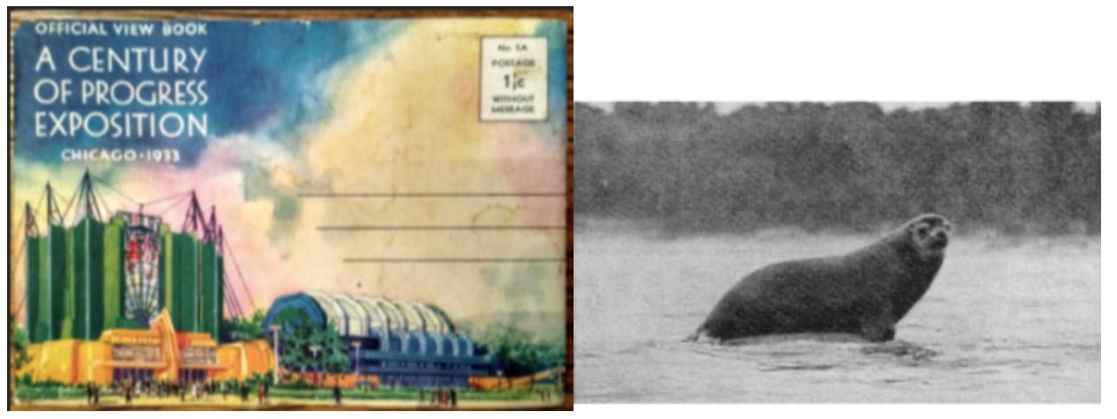 VFYW: Zombies And Haunted Hippie Trees - by Chris Bodenner