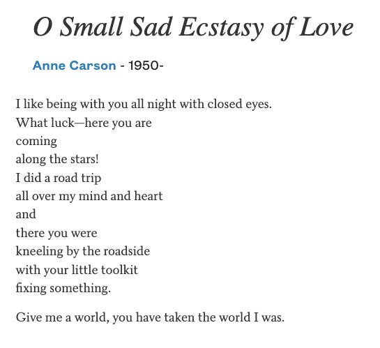 A Selection of Poems for Your Weekend - by Maya C. Popa