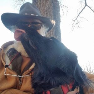 David M. Poff | Substack