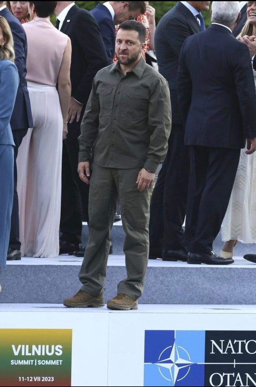 John Varoli: NATO Summit: A Shocked Kiev realizes it’s been played like ...