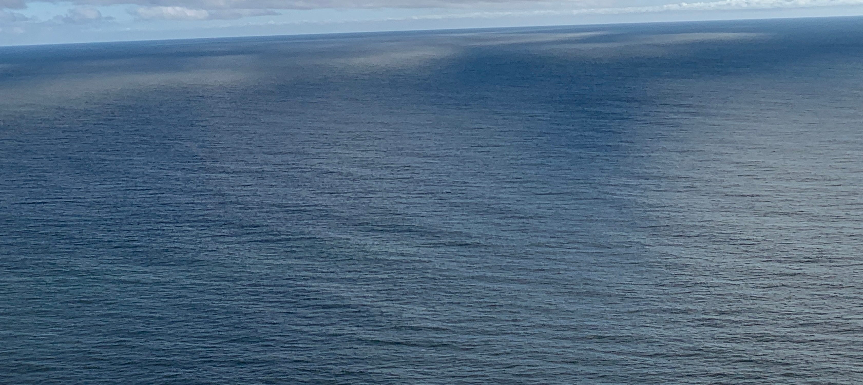 An Oceanic Announcement - by Lila Danielle