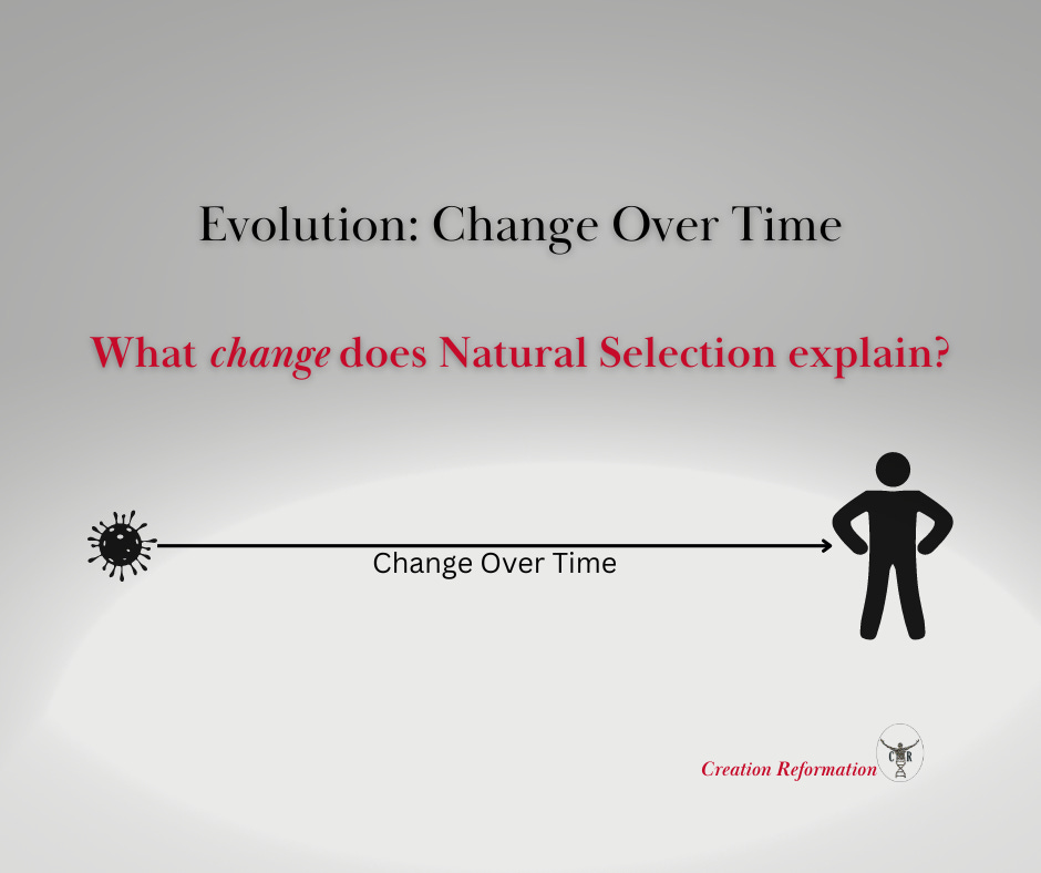 Natural Selection Fails Creation Reformation Insider