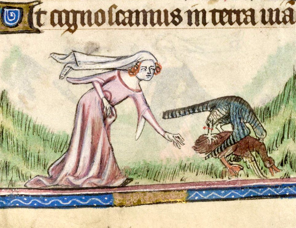 Why did medieval people invent so many collective nouns?