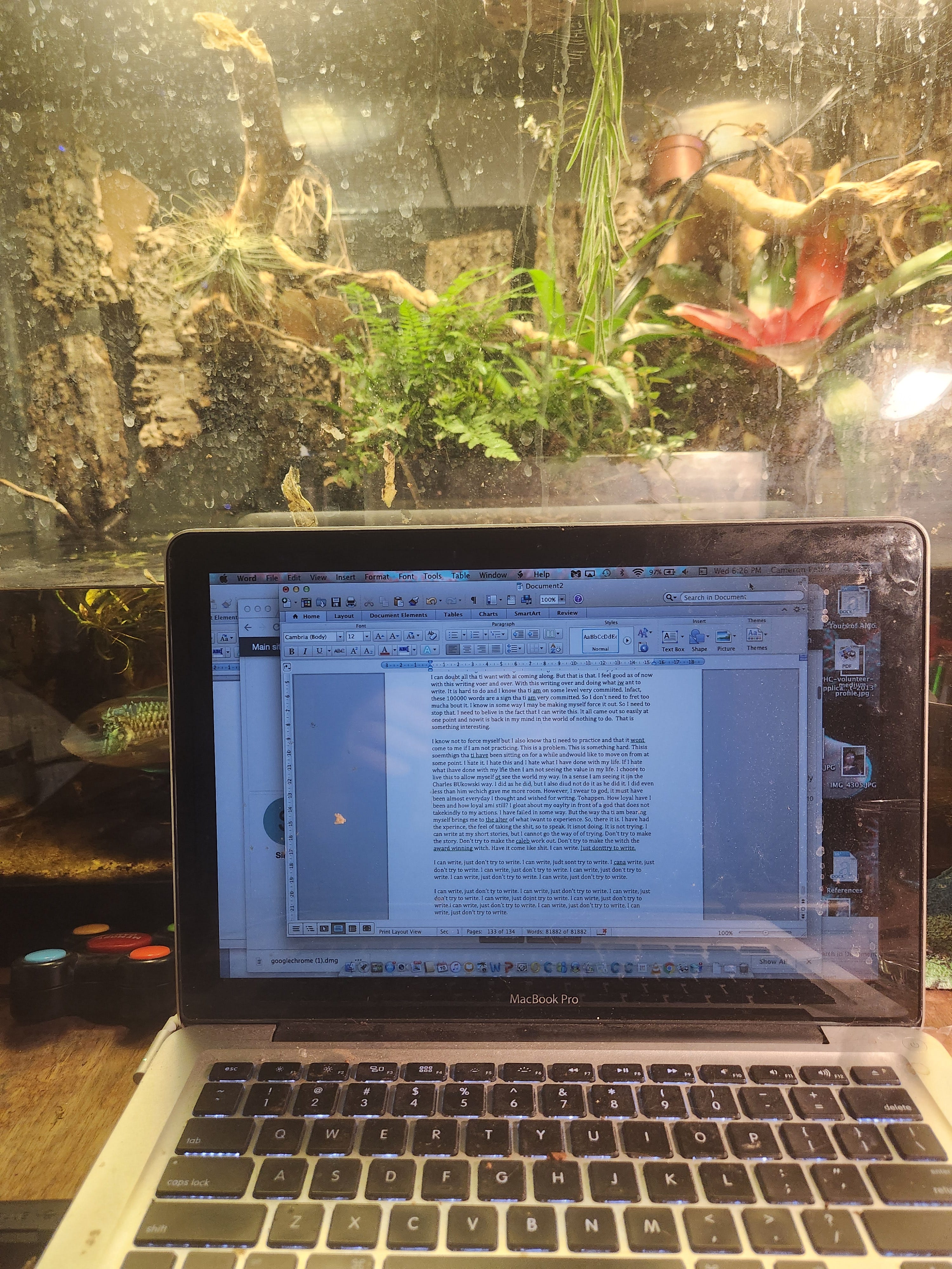 I can read Bukowski - by Cameron h petrie