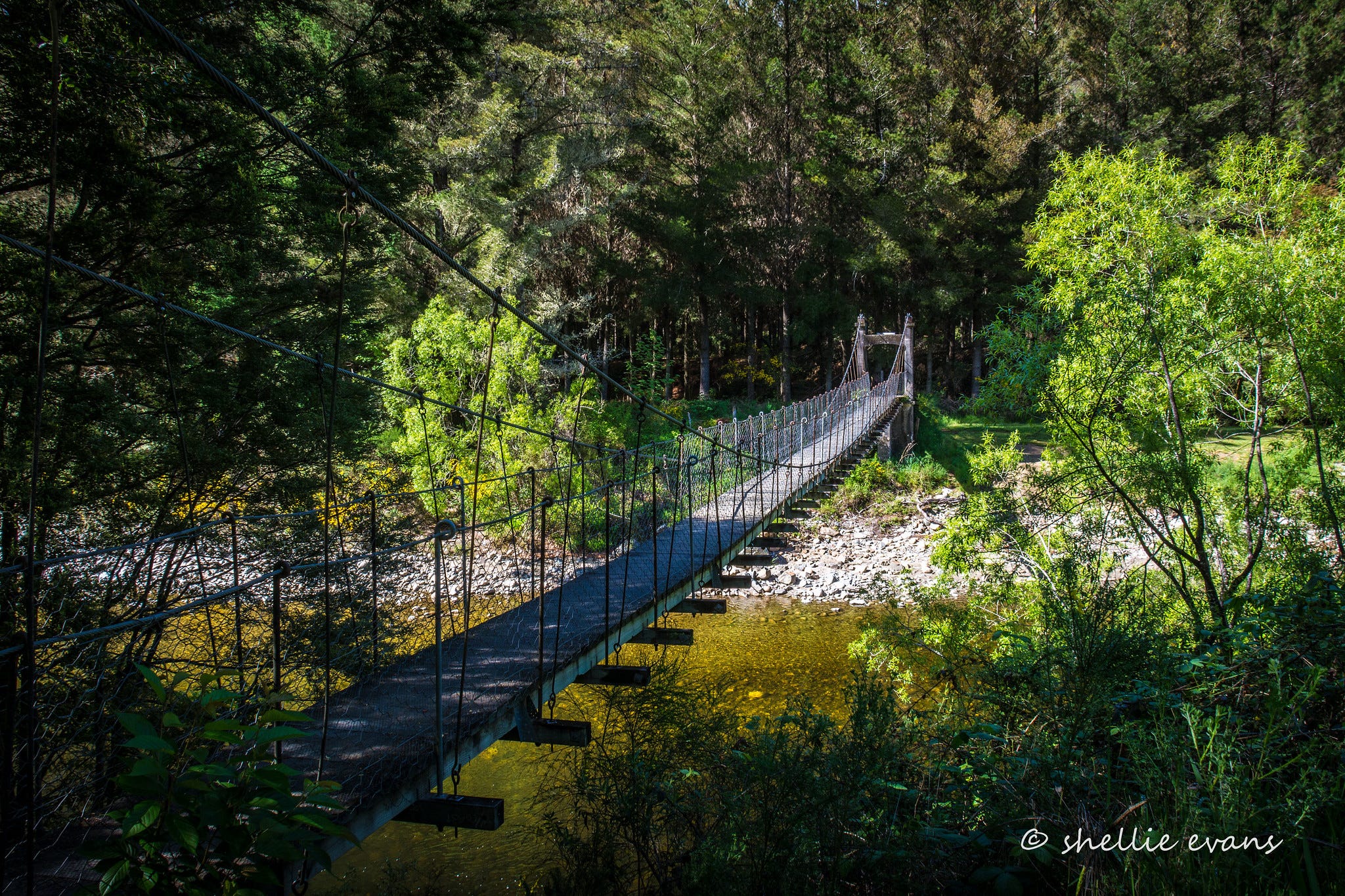 The infamous Inangahua River swing bridge, soaked in summer sun,