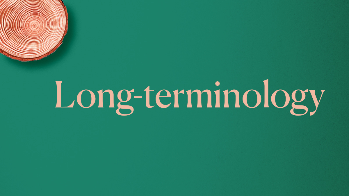 The lexicon of "long-terminology" - by Richard Fisher