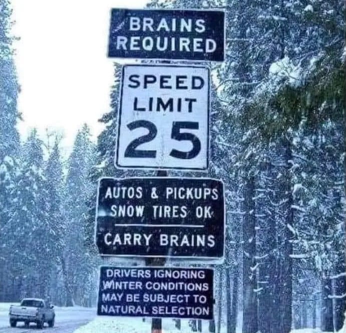 Do You Have a "Transparent" Brain?