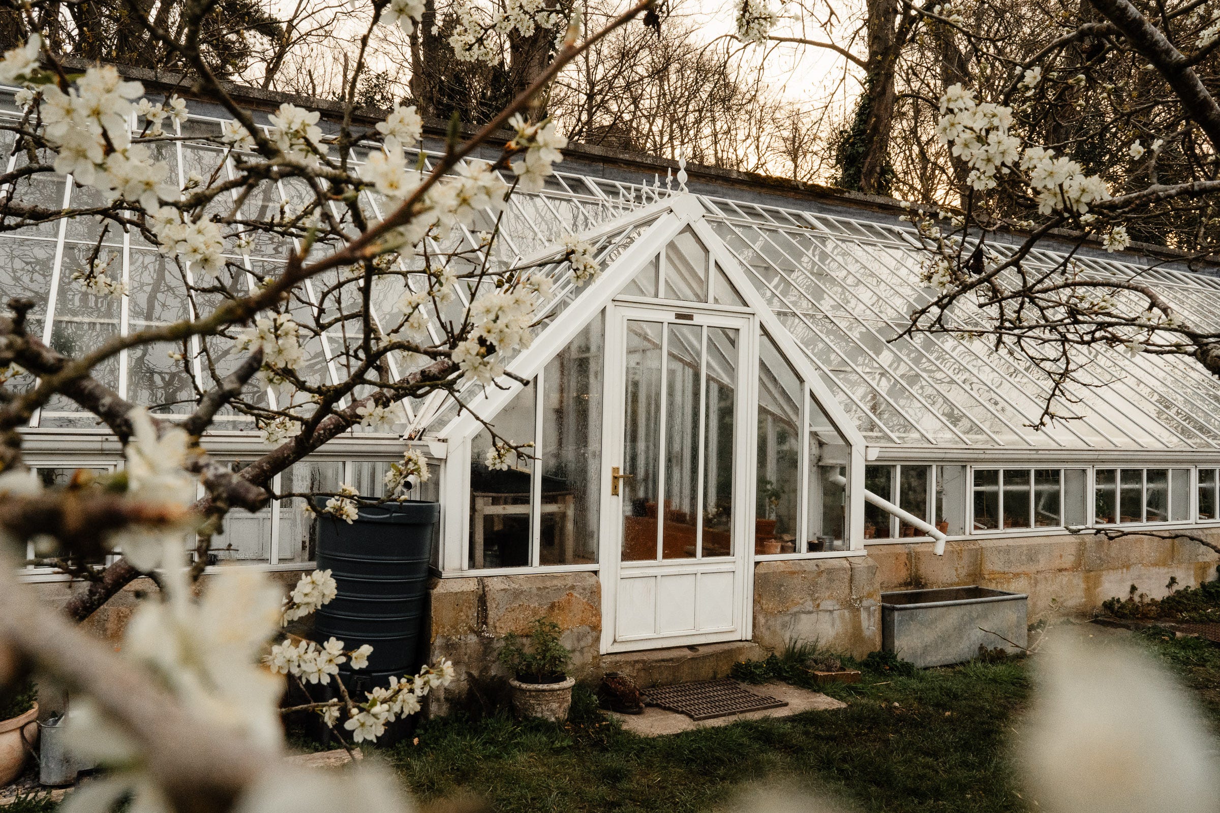 Climbing the walls... - by Caroline Beck - DIRT