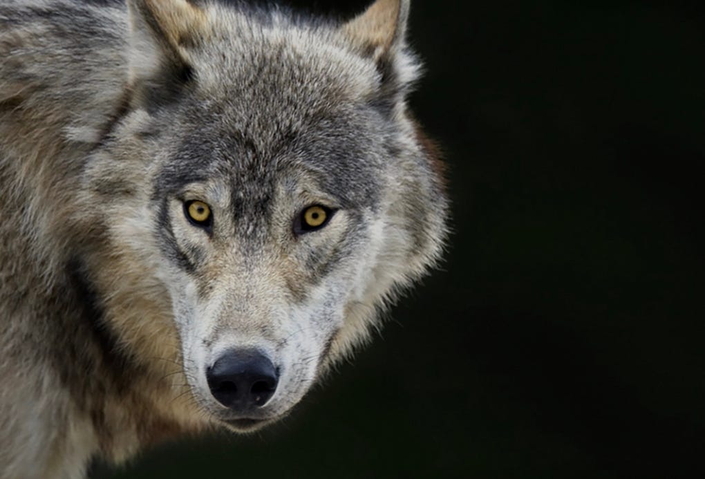 Balance - by Marisa Grim - Marisa’s Substack