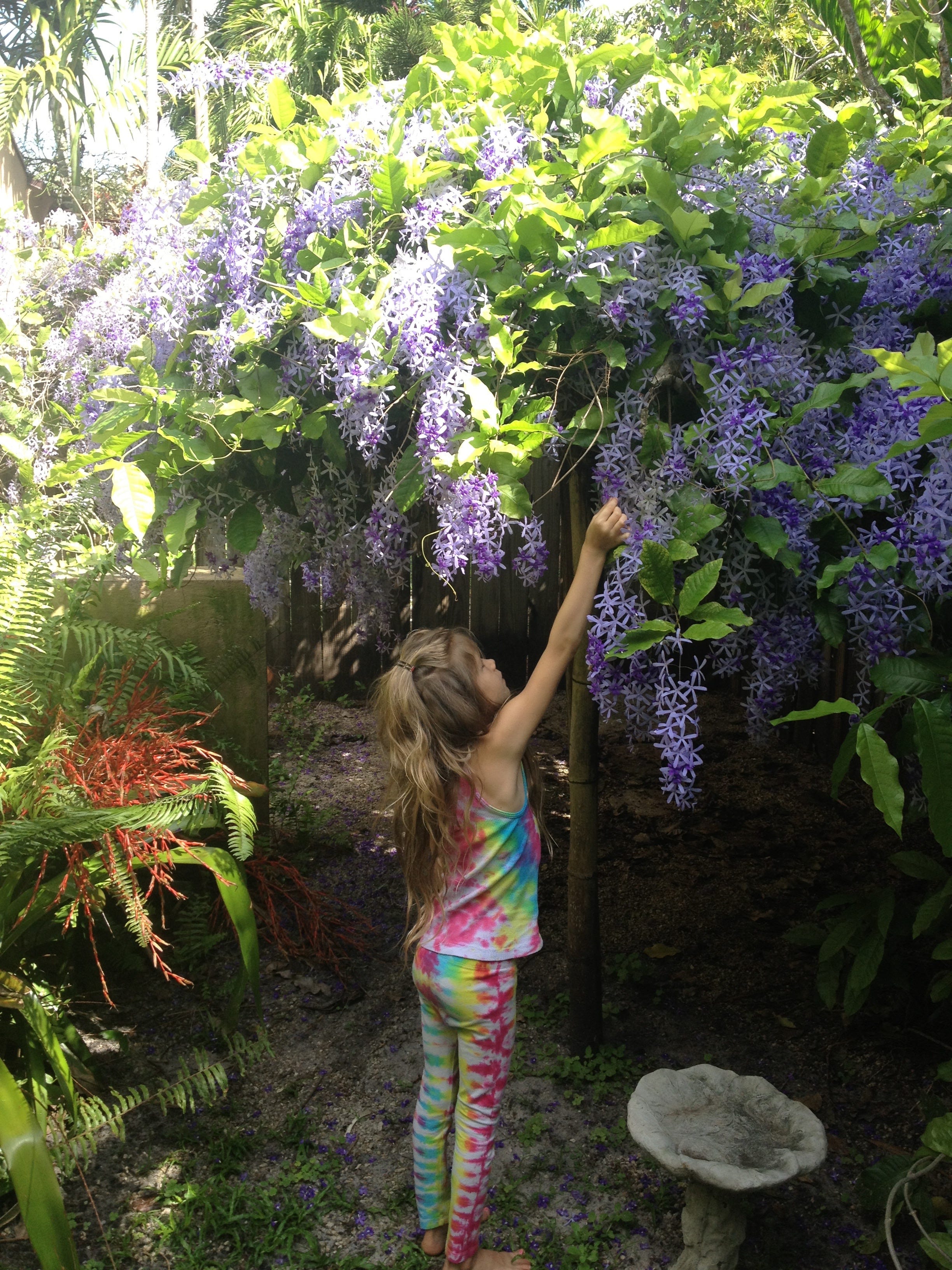 10 Ideas For Reconnecting Your Family To Nature