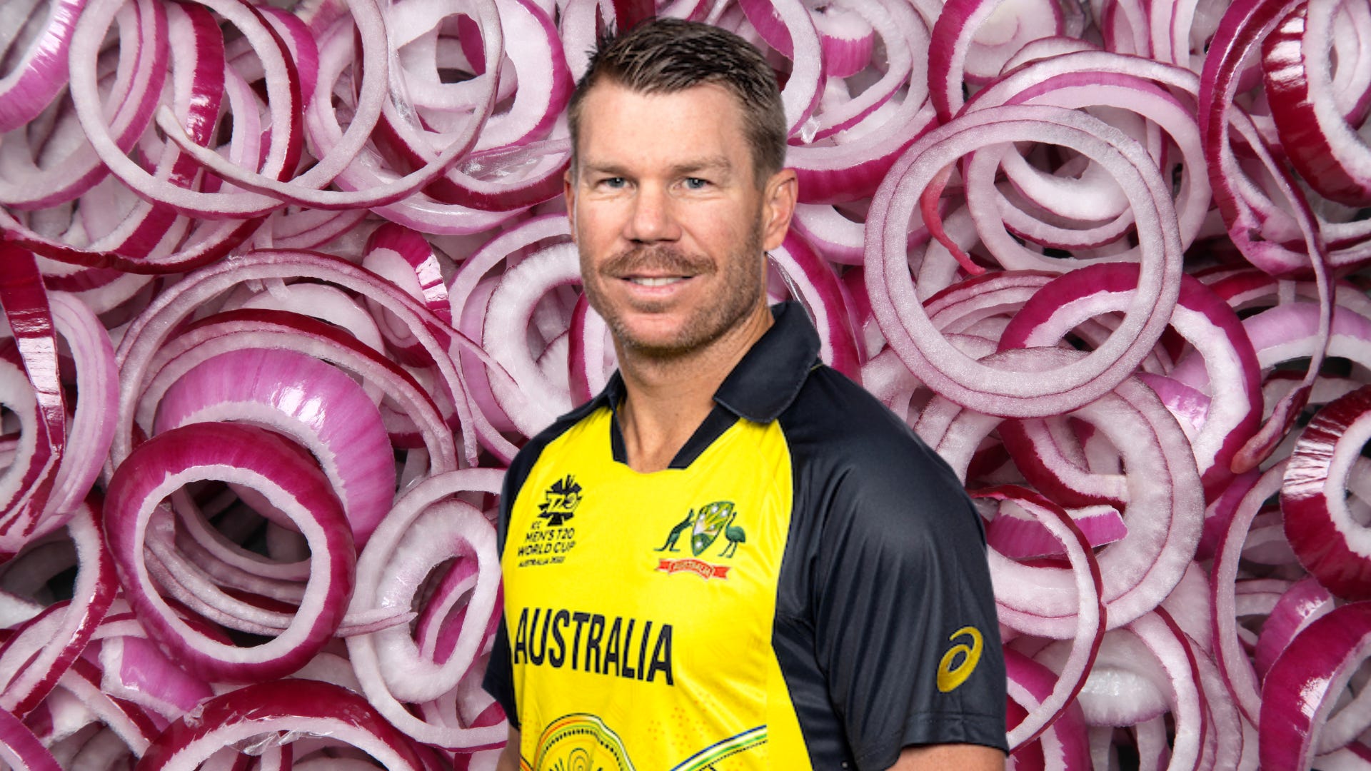 David Warner, onions and retirements