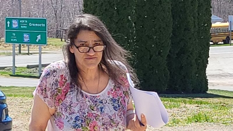 Guilty pleas valid in fraud case - judge