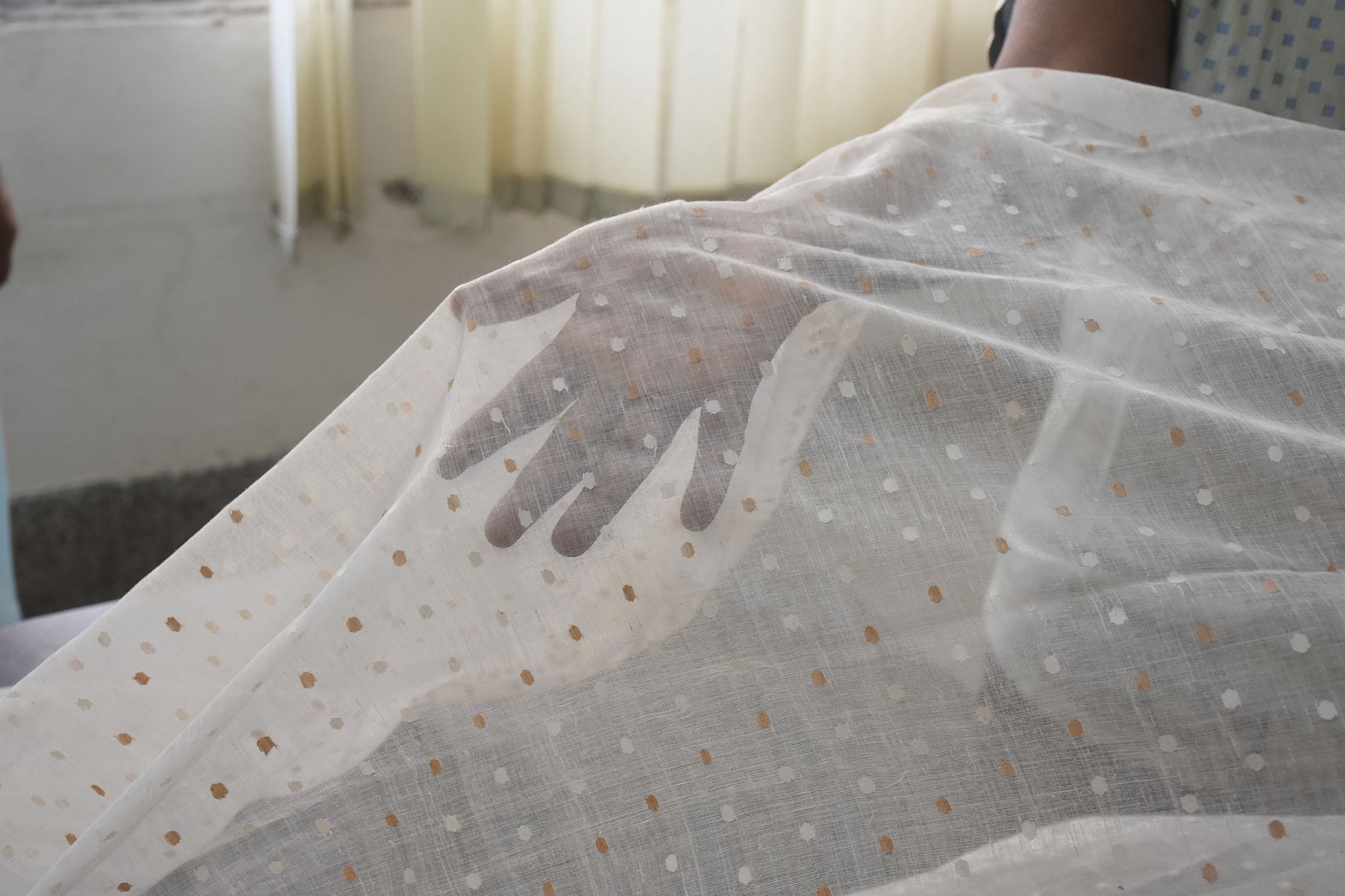 The Vanishing Legacy of Dhaka Muslin - Brown History