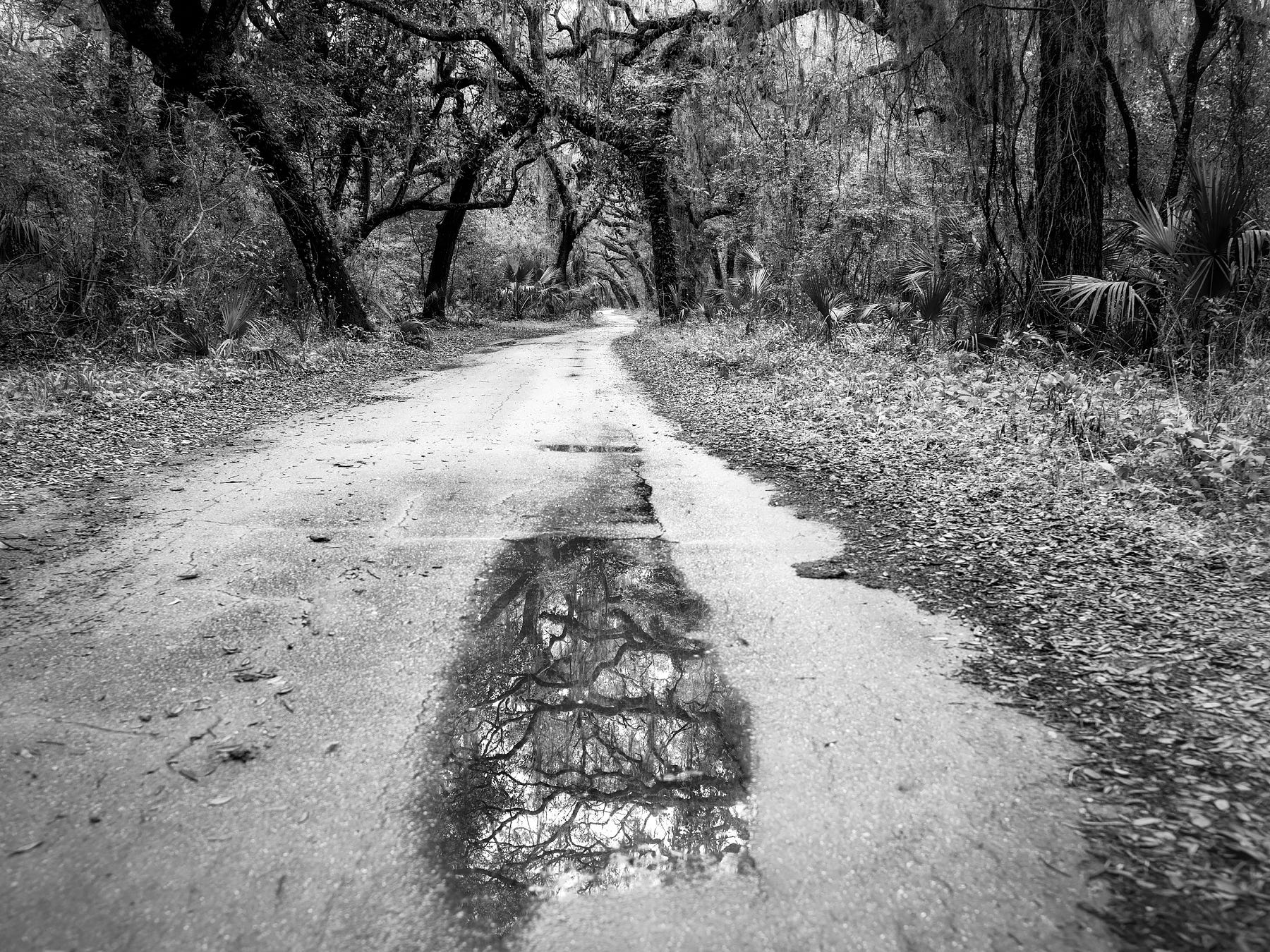 notes from an artist retreat - by Lee Anne White