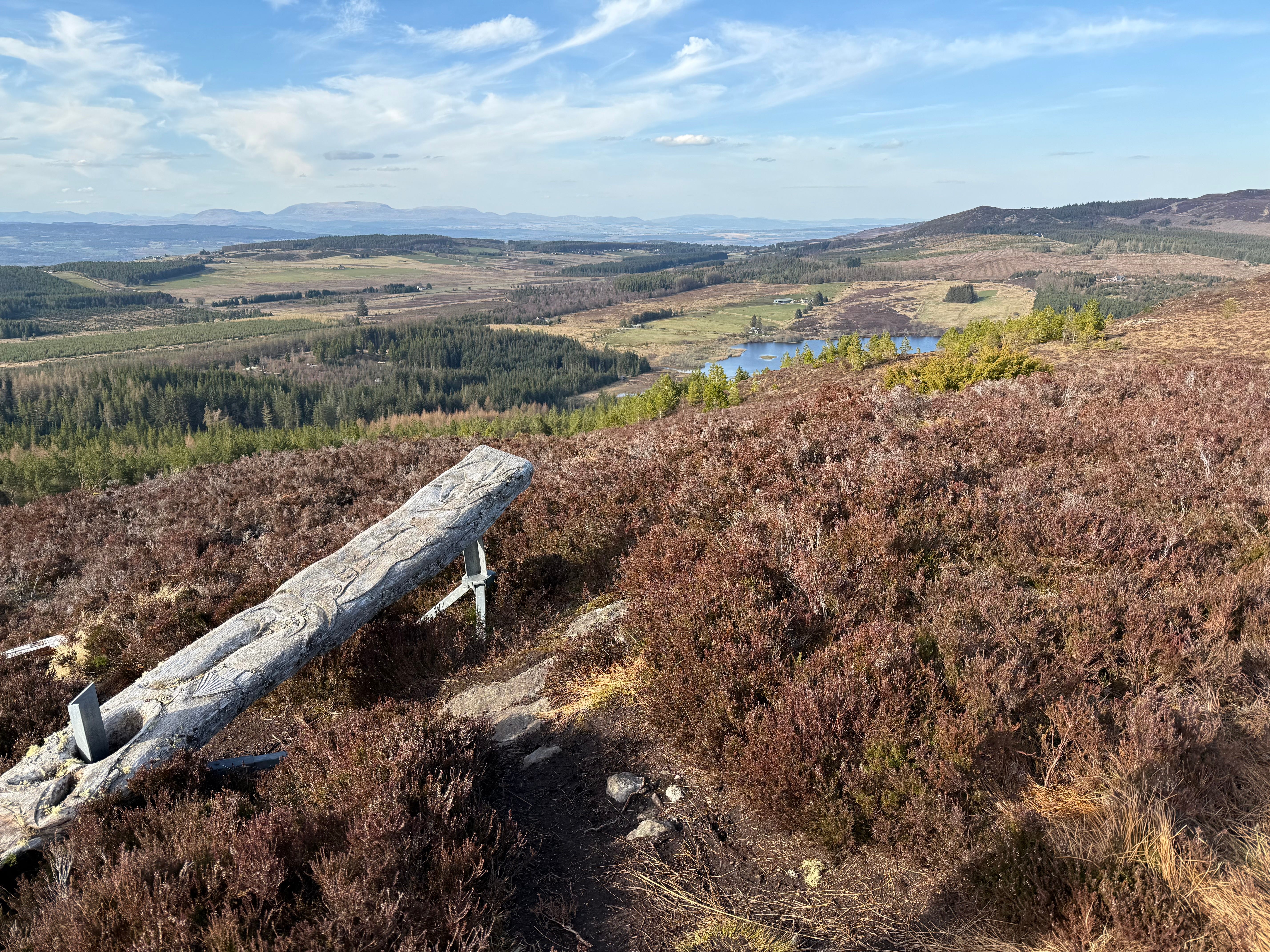 The magic of the Abriachan Forest Trust and its thriving community
