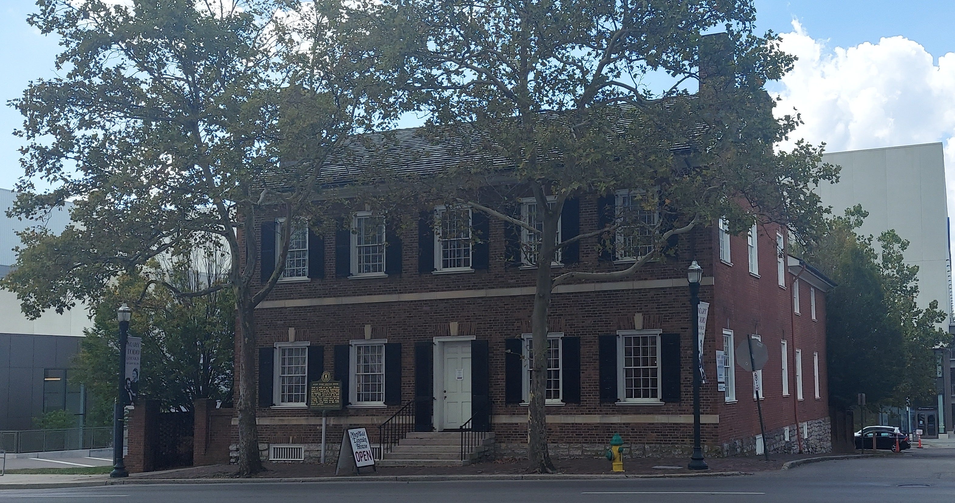 Famous First Lady: Mary Todd Lincoln - by John Naughton