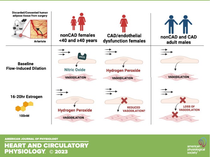 The most unnoticed midlife research gem of 2023