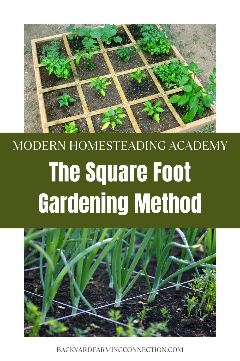 Modern Homesteading Academy Mini Course: Square Foot Gardening