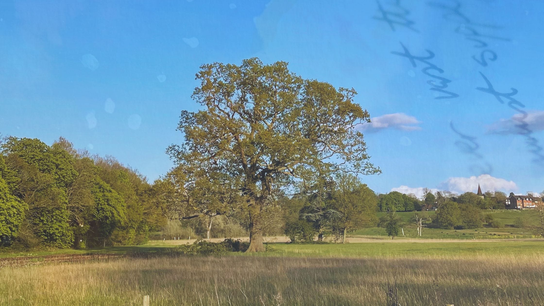 The Complex Magic of Nature - by Beth Axford - Oh My Stars!