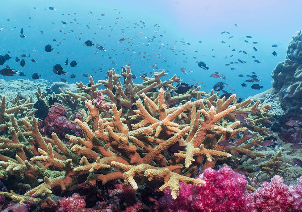 Discovering the Serene Beauty of Batu Batu