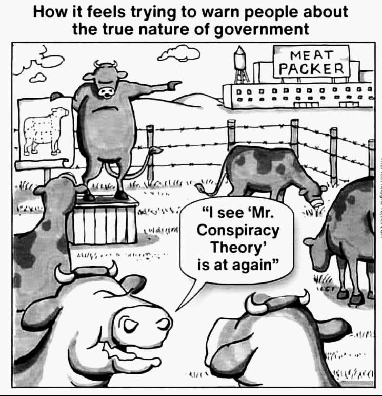 First Do No Harm - Appendix - by Eleanor Dobson